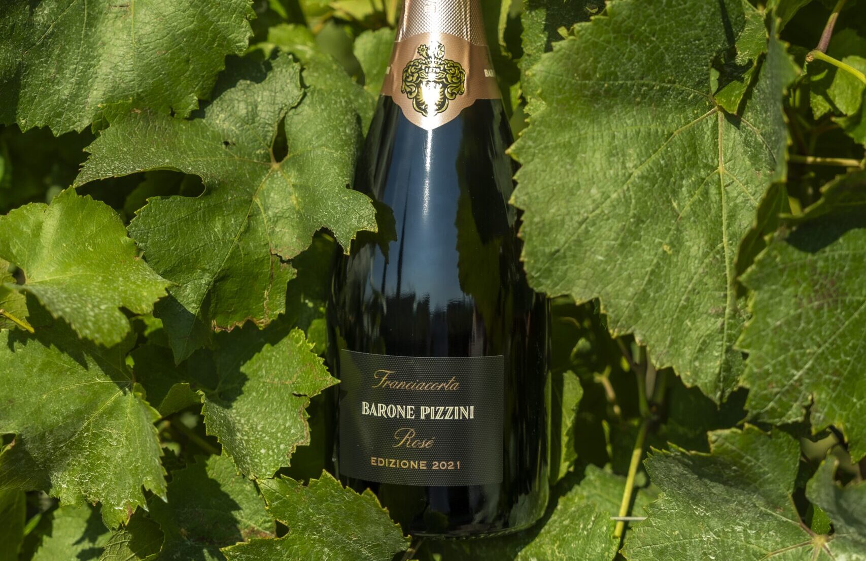 Home - Barone Pizzini